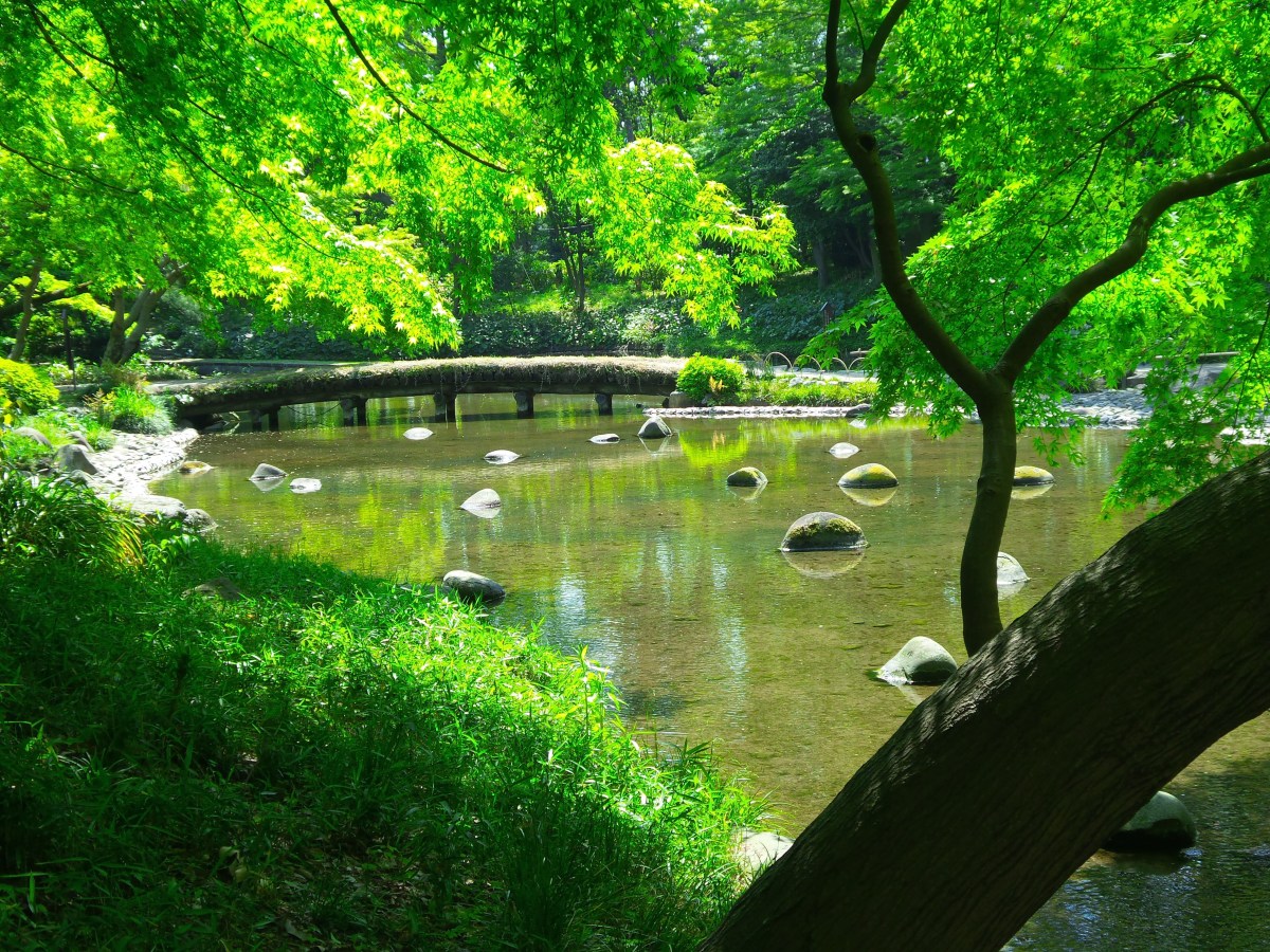 Our August Update – Mackeys in Japan
